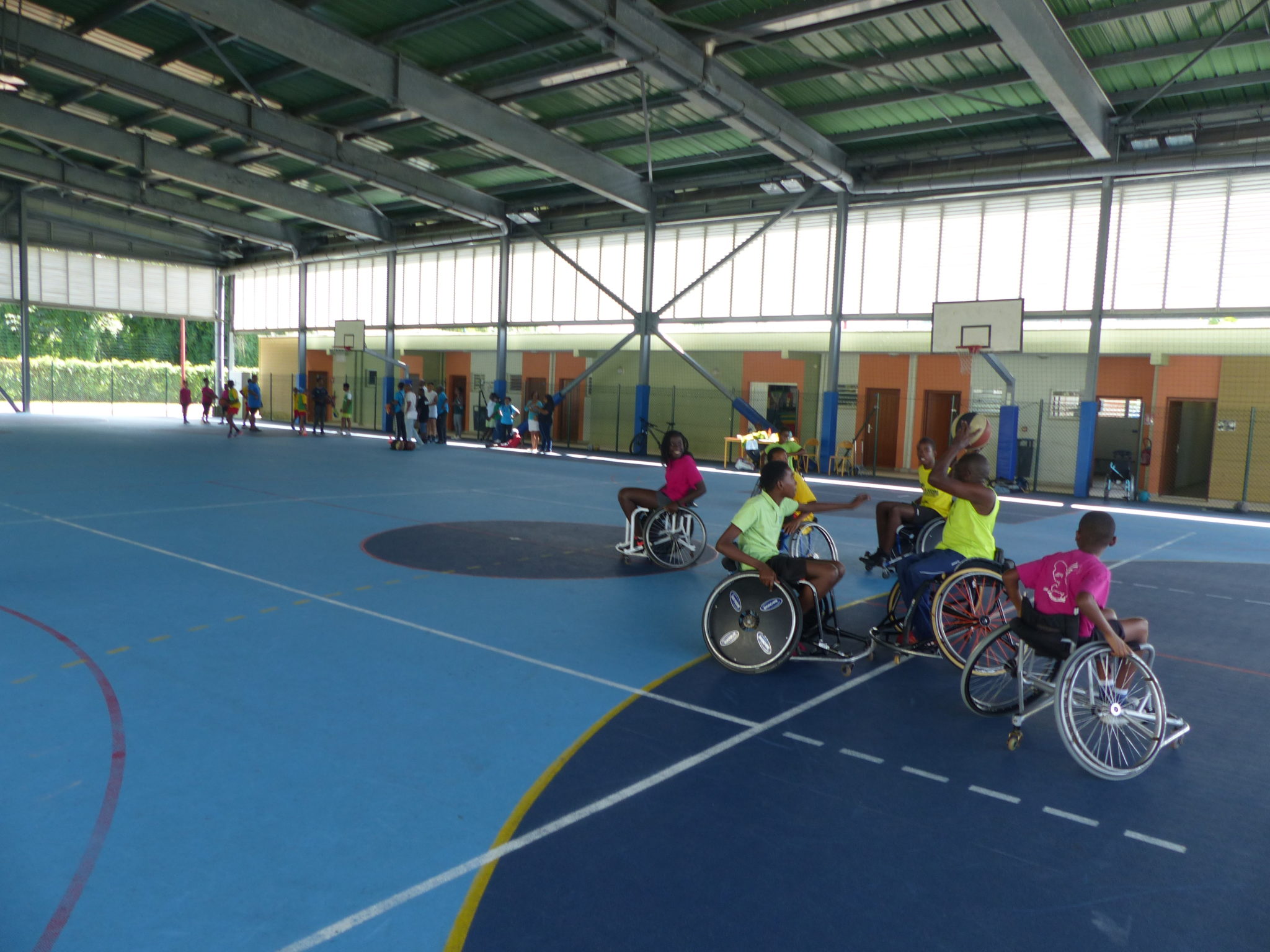 Galerie photos – IMS – Institut Martiniquais du Sport